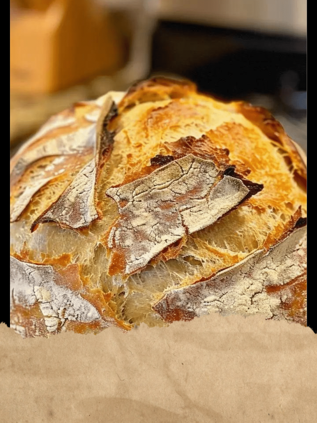 The Ultimate Guide to Baking Perfect Crusty Bread at Home