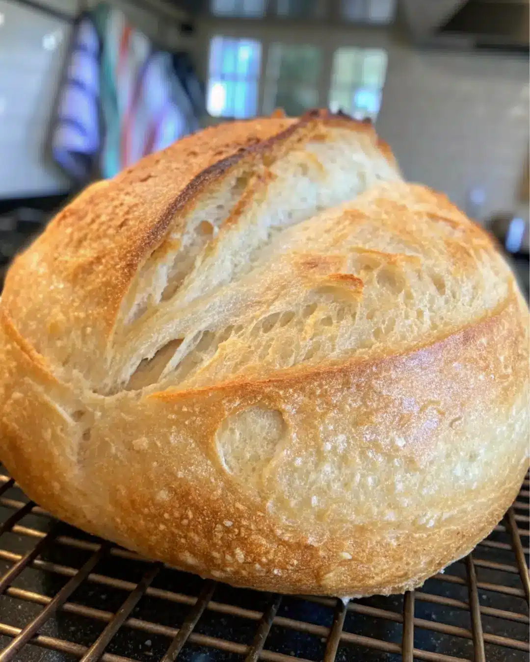 Cold Bake Sourdough with Unfed Starter – A Surprising Success