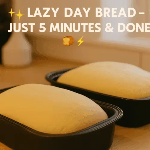 Lazy Day Bread (Ready in Just 5 Minutes of Work!)