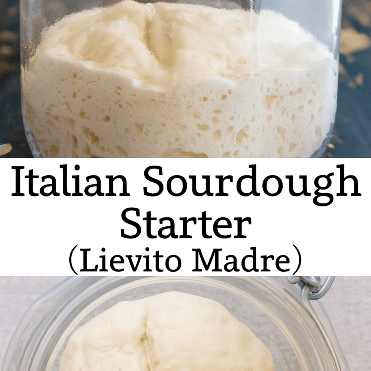 Lievito Madre: The Complete Guide to Making Italian Sourdough Starter ...