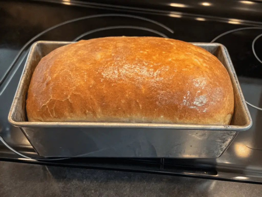 Sourdough Sandwich Bread (Soft, Fluffy & Beginner-Friendly)