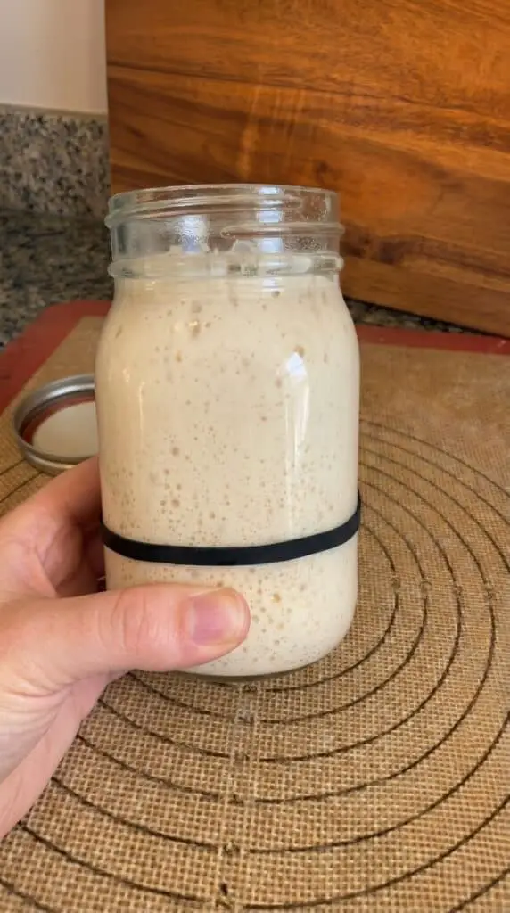 How to Build a Sourdough Starter from Scratch with Zero Discard for the ...