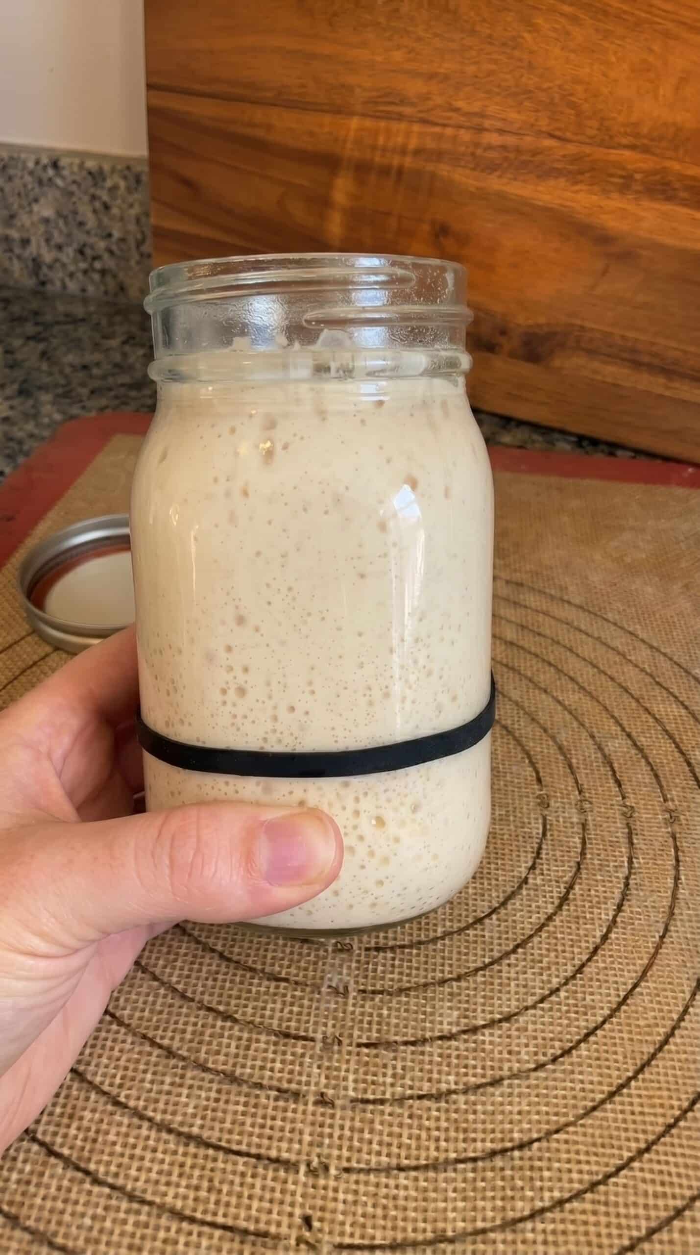 How to Build a Sourdough Starter from Scratch with Zero Discard for the ...